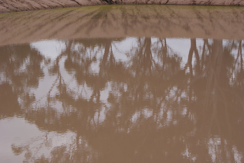 REFLECTIONS - Fiona Rafferty