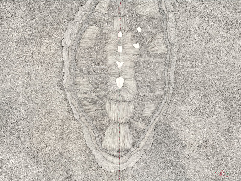 2016 ADELAIDE PERRY DRAWING PRIZE "SALINITY" FINALIST - Fiona Rafferty