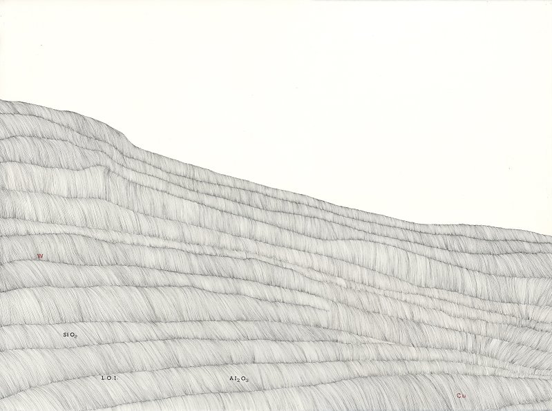 CONSCIENCE OF MY COUNTRY 1 - Fiona Rafferty